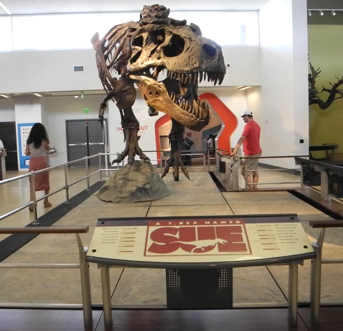 Final days to see Sue at The Discovery in Reno | NewToReno Blog