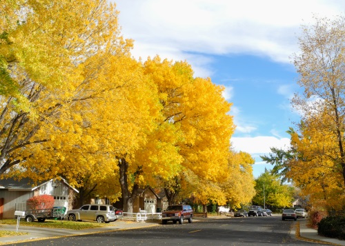 A beautiful day in the neighborhood | NewToReno Blog