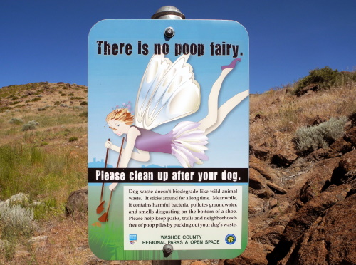No poop fairy | NewToReno Blog